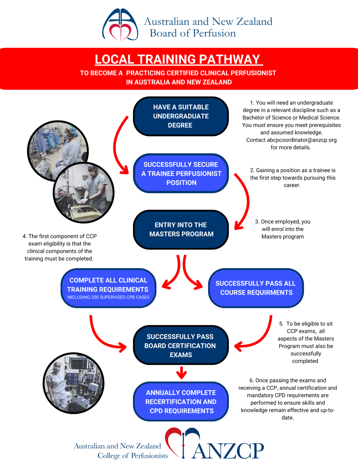 Training Pathways for a Perfusionist in Australia or New Zealand – ANZCP