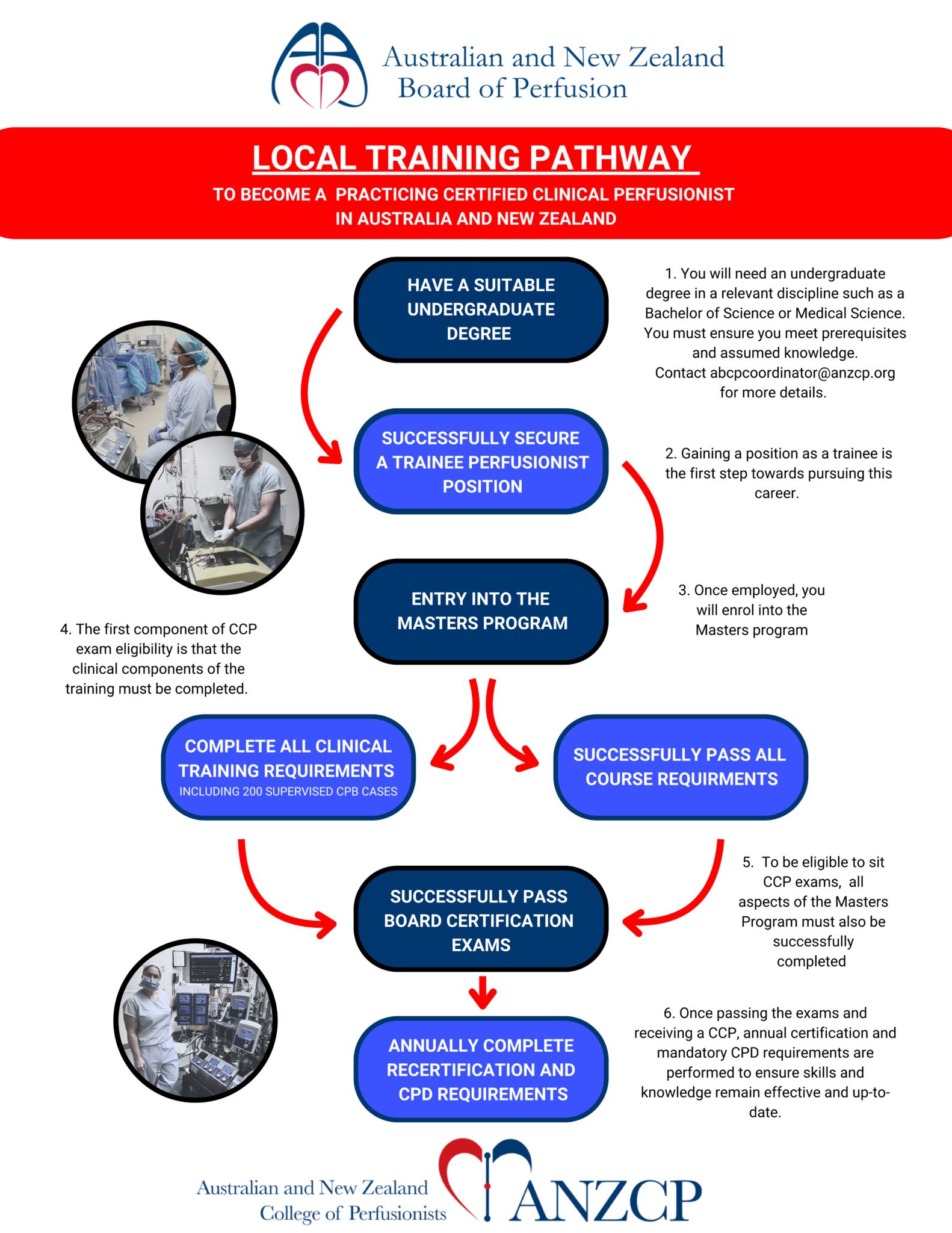 Training Pathways for a Perfusionist in Australia or New Zealand – ANZCP